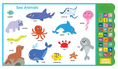 27-Button Sound Book Let's Learn Animals,English