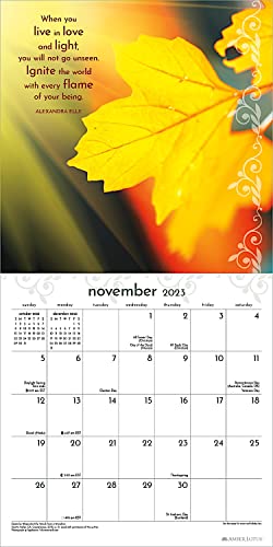 A Year of Mindful Living 2023 Wall Calendar | 12" x 24" Open | Amber Lotus Publishing