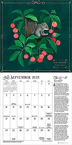 Backyard Foraging 2023 Wall Calendar: Discover Edible Plants and Kitchen Inspiration by Ellen Zachos | 12" x 24" Open | Amber Lotus Publishing