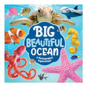 big beautiful ocean – a photographic exploration – perfect for infants and toddlers, ages 0-3 – nature and science photo book