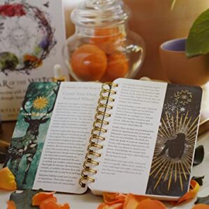 Year of the Witch 2022 - 2023 Weekly Planner: On-the-Go 17-Month Calendar with Pocket (Aug 2022 - Dec 2023, 5" x 7" closed)