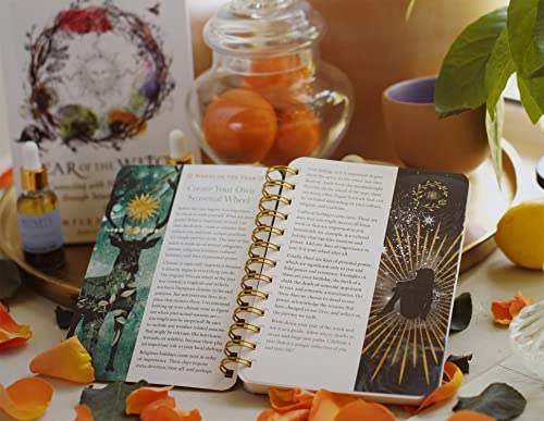 Year of the Witch 2022 - 2023 Weekly Planner: On-the-Go 17-Month Calendar with Pocket (Aug 2022 - Dec 2023, 5" x 7" closed)