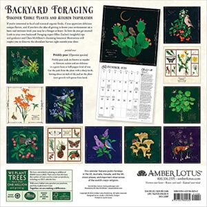 Backyard Foraging 2023 Wall Calendar: Discover Edible Plants and Kitchen Inspiration by Ellen Zachos | 12" x 24" Open | Amber Lotus Publishing