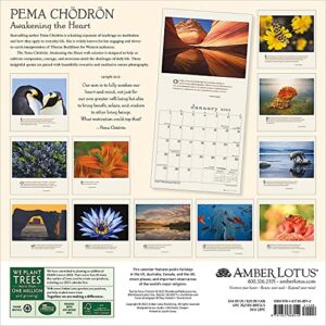 Pema Chodron 2023 Wall Calendar: Awakening the Heart - A Year of Inspirational Quotes | 12" x 24" Open | Amber Lotus Publishing