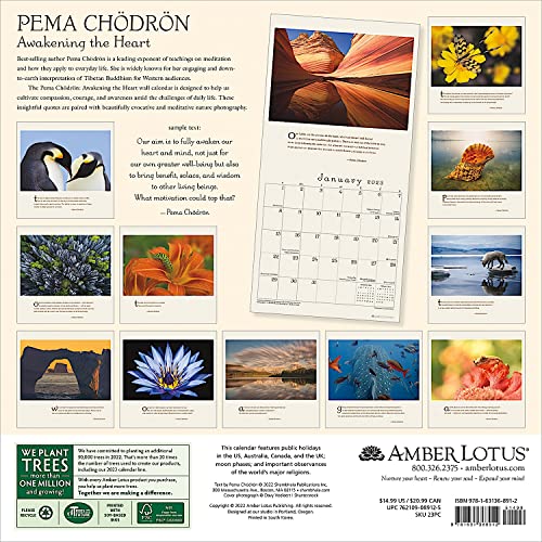 Pema Chodron 2023 Wall Calendar: Awakening the Heart - A Year of Inspirational Quotes | 12" x 24" Open | Amber Lotus Publishing