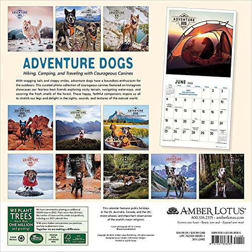 Adventure Dogs 2023 Wall Calendar: Hiking, Camping, and Traveling with Courageous Canines | 12" x 24" Open | Amber Lotus Publishing