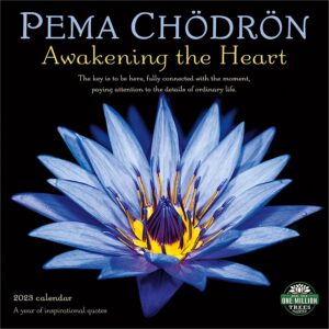 pema chodron 2023 wall calendar: awakening the heart - a year of inspirational quotes | 12" x 24" open | amber lotus publishing