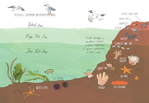 Ocean Anatomy: The Curious Parts & Pieces of the World under the Sea