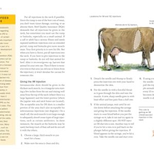 Storey's Guide to Raising Beef Cattle, 4th Edition: Health, Handling, Breeding