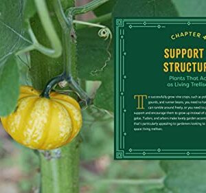 Plant Partners: Science-Based Companion Planting Strategies for the Vegetable Garden