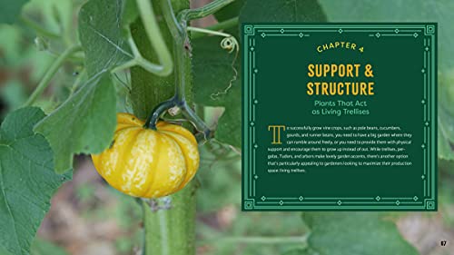 Plant Partners: Science-Based Companion Planting Strategies for the Vegetable Garden