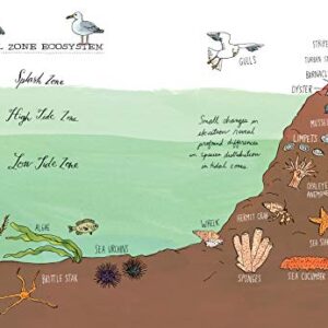 Ocean Anatomy: The Curious Parts & Pieces of the World under the Sea