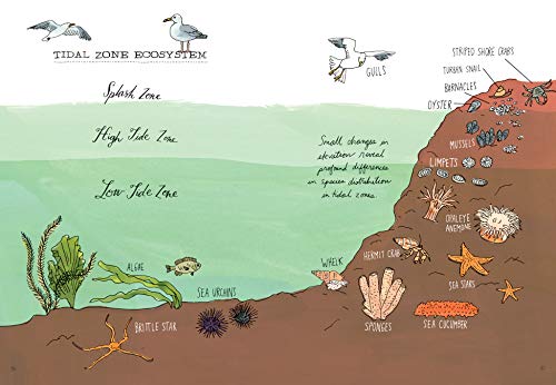 Ocean Anatomy: The Curious Parts & Pieces of the World under the Sea