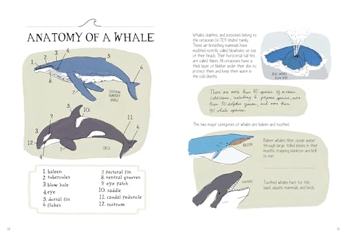 Ocean Anatomy: The Curious Parts & Pieces of the World under the Sea