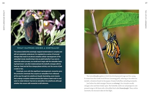 100 Plants to Feed the Monarch: Create a Healthy Habitat to Sustain North America's Most Beloved Butterfly