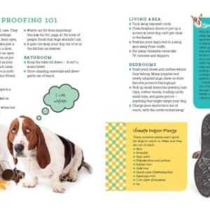 A Kid's Guide to Dogs: How to Train, Care for, and Play and Communicate with Your Amazing Pet!