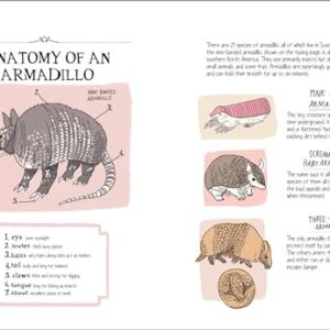 Wildlife Anatomy: The Curious Lives & Features of Wild Animals around the World