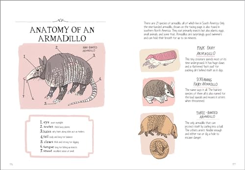 Wildlife Anatomy: The Curious Lives & Features of Wild Animals around the World