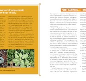 Plant Partners: Science-Based Companion Planting Strategies for the Vegetable Garden