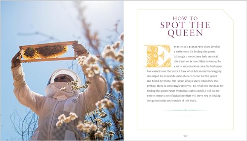 QueenSpotting: Meet the Remarkable Queen Bee and Discover the Drama at the Heart of the Hive; Includes 48 Queenspotting Challenges