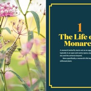 100 Plants to Feed the Monarch: Create a Healthy Habitat to Sustain North America's Most Beloved Butterfly