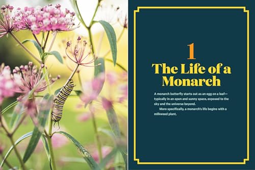 100 Plants to Feed the Monarch: Create a Healthy Habitat to Sustain North America's Most Beloved Butterfly