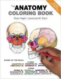 the anatomy coloring book