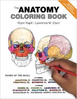 The Anatomy Coloring Book