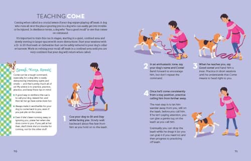 A Kid's Guide to Dogs: How to Train, Care for, and Play and Communicate with Your Amazing Pet!