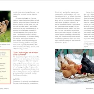 Let's All Keep Chickens!: The Down-to-Earth Guide to Natural Practices for Healthier Birds and a Happier World