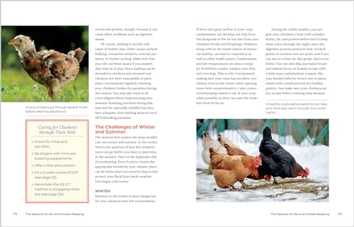 Let's All Keep Chickens!: The Down-to-Earth Guide to Natural Practices for Healthier Birds and a Happier World