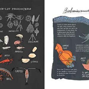 Ocean Anatomy: The Curious Parts & Pieces of the World under the Sea