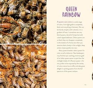 QueenSpotting: Meet the Remarkable Queen Bee and Discover the Drama at the Heart of the Hive; Includes 48 Queenspotting Challenges