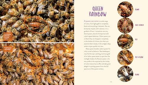 QueenSpotting: Meet the Remarkable Queen Bee and Discover the Drama at the Heart of the Hive; Includes 48 Queenspotting Challenges