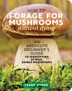 how to forage for mushrooms without dying: an absolute beginner's guide to identifying 29 wild, edible mushrooms