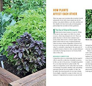 Plant Partners: Science-Based Companion Planting Strategies for the Vegetable Garden