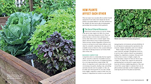 Plant Partners: Science-Based Companion Planting Strategies for the Vegetable Garden