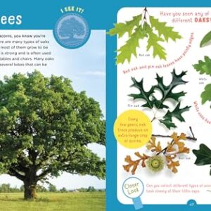 Backpack Explorer: Discovering Trees: What Will You Find?