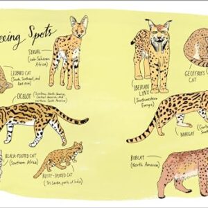 Wildlife Anatomy: The Curious Lives & Features of Wild Animals around the World