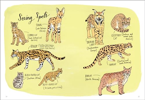 Wildlife Anatomy: The Curious Lives & Features of Wild Animals around the World