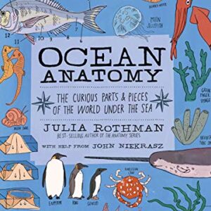 Ocean Anatomy: The Curious Parts & Pieces of the World under the Sea