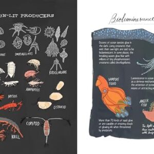 Ocean Anatomy: The Curious Parts & Pieces of the World under the Sea