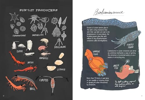 Ocean Anatomy: The Curious Parts & Pieces of the World under the Sea