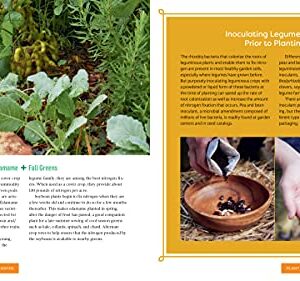 Plant Partners: Science-Based Companion Planting Strategies for the Vegetable Garden