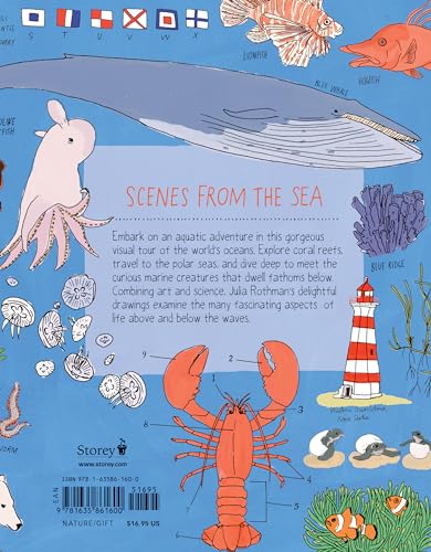 Ocean Anatomy: The Curious Parts & Pieces of the World under the Sea