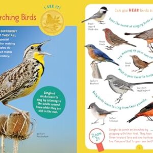 Backpack Explorer: Bird Watch: What Will You Find?