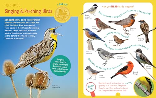 Backpack Explorer: Bird Watch: What Will You Find?