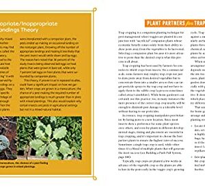 Plant Partners: Science-Based Companion Planting Strategies for the Vegetable Garden