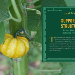 Plant Partners: Science-Based Companion Planting Strategies for the Vegetable Garden