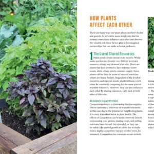 Plant Partners: Science-Based Companion Planting Strategies for the Vegetable Garden